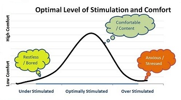 Stimulus Sensitivity Assessment Results Careers and Relationships